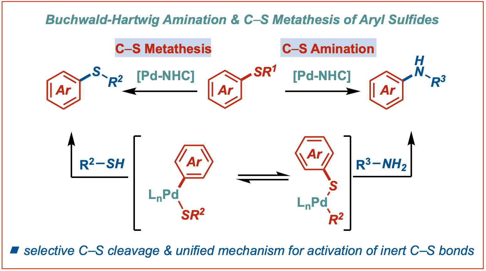 Buchwald-Hartwig-Amination-and-C–S-Metathesis-Aryl-Sulfides-Poater ...